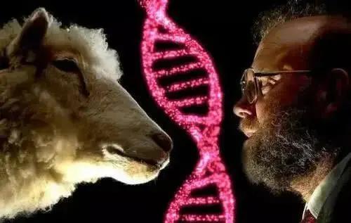 Why is "cloning" rarely mentioned now? The experience of "Dolly" is ...