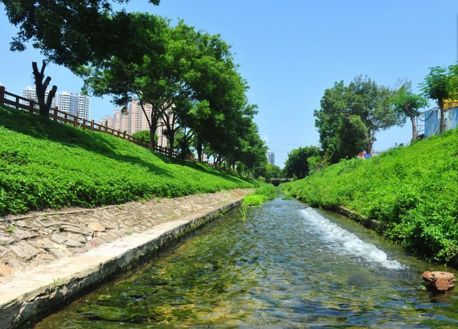 Analysis on the absorption characteristics of urban black and odorous ...