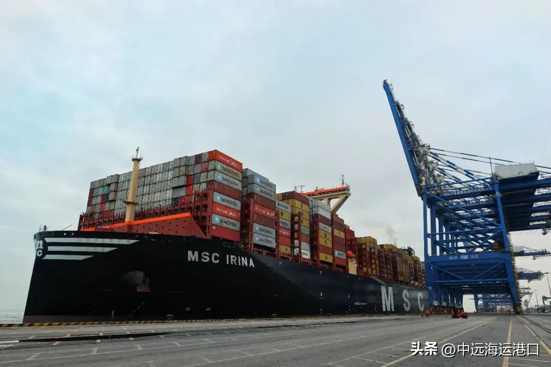 18 days second brush! 24346TEU! CSP Guangzhou Nansha Terminal welcomes ...