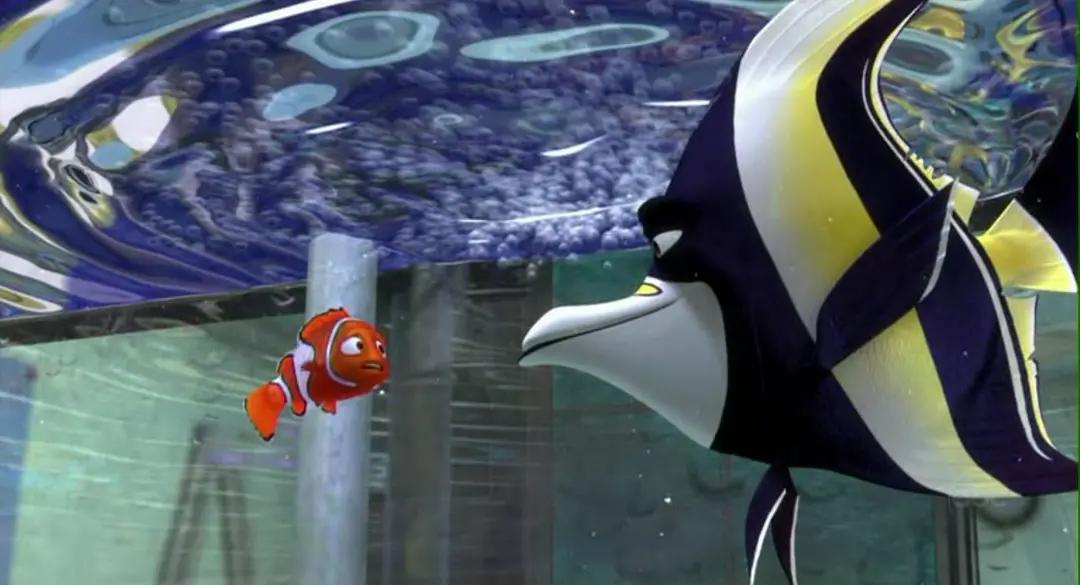 "Finding Nemo", an underwater world full of fantasy and emotion - iNEWS