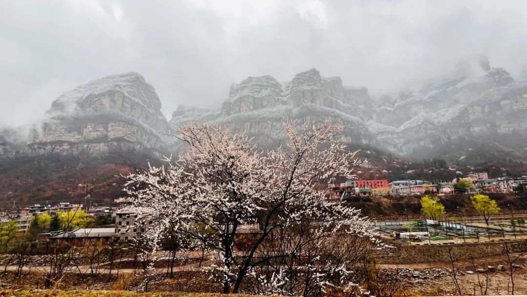 Live up to the spring, live up to the beautiful scenery, the Taihang ...