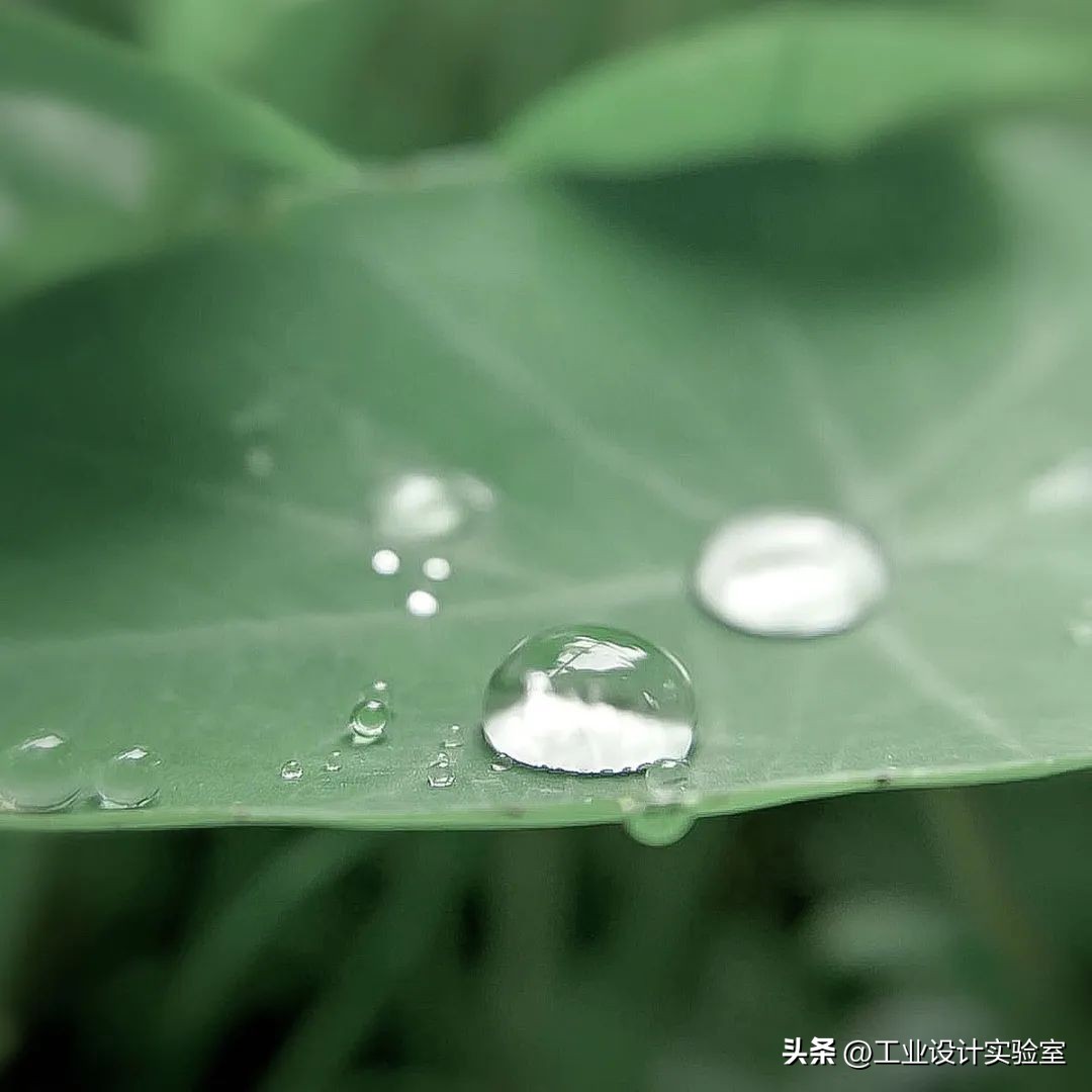 Bionic design, exquisite! - iMedia