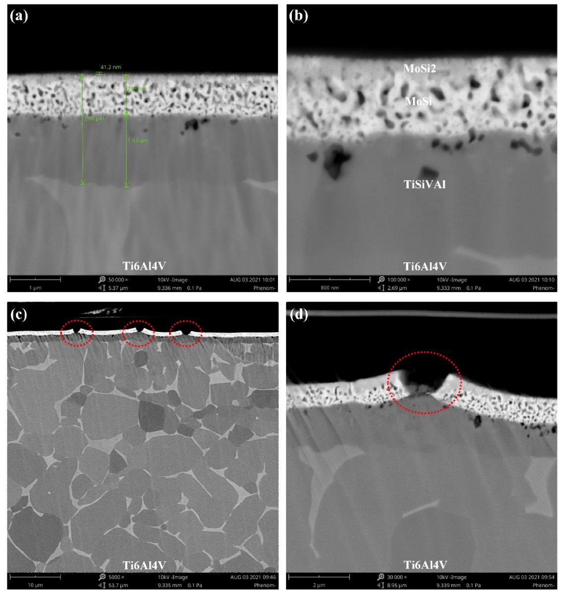 Application of Scanning Electron Microscope in Analysis of Titanium ...