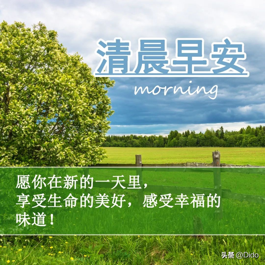 Warm morning blessings and greetings, happiness and care, blessings and ...