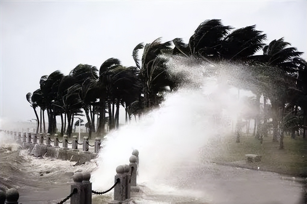 "Wind Control" or a coincidence? Why every time a typhoon blows towards ...