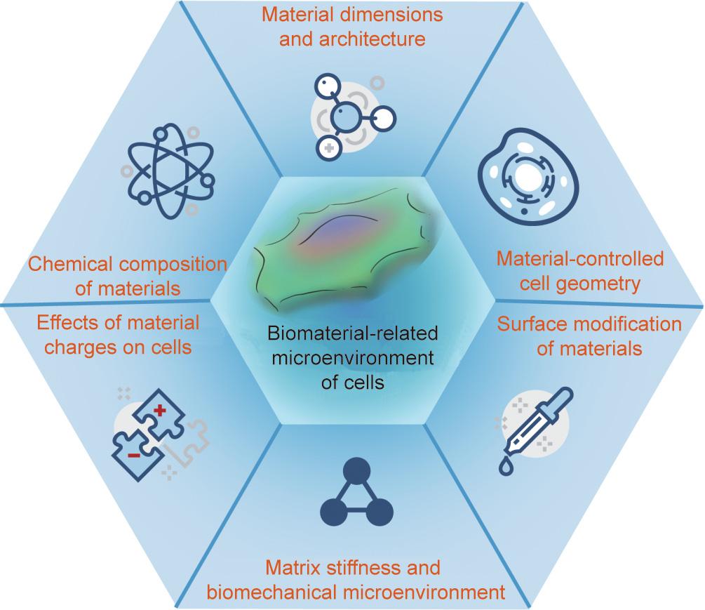 Ding Jiandong's research team at Fudan University: Cellular ...