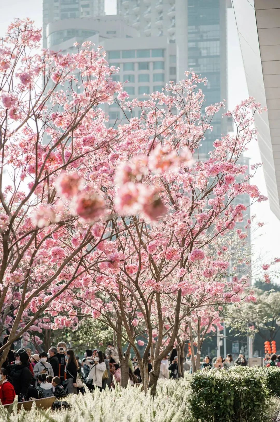 This year's young people in Guangzhou actually fell in love with going ...