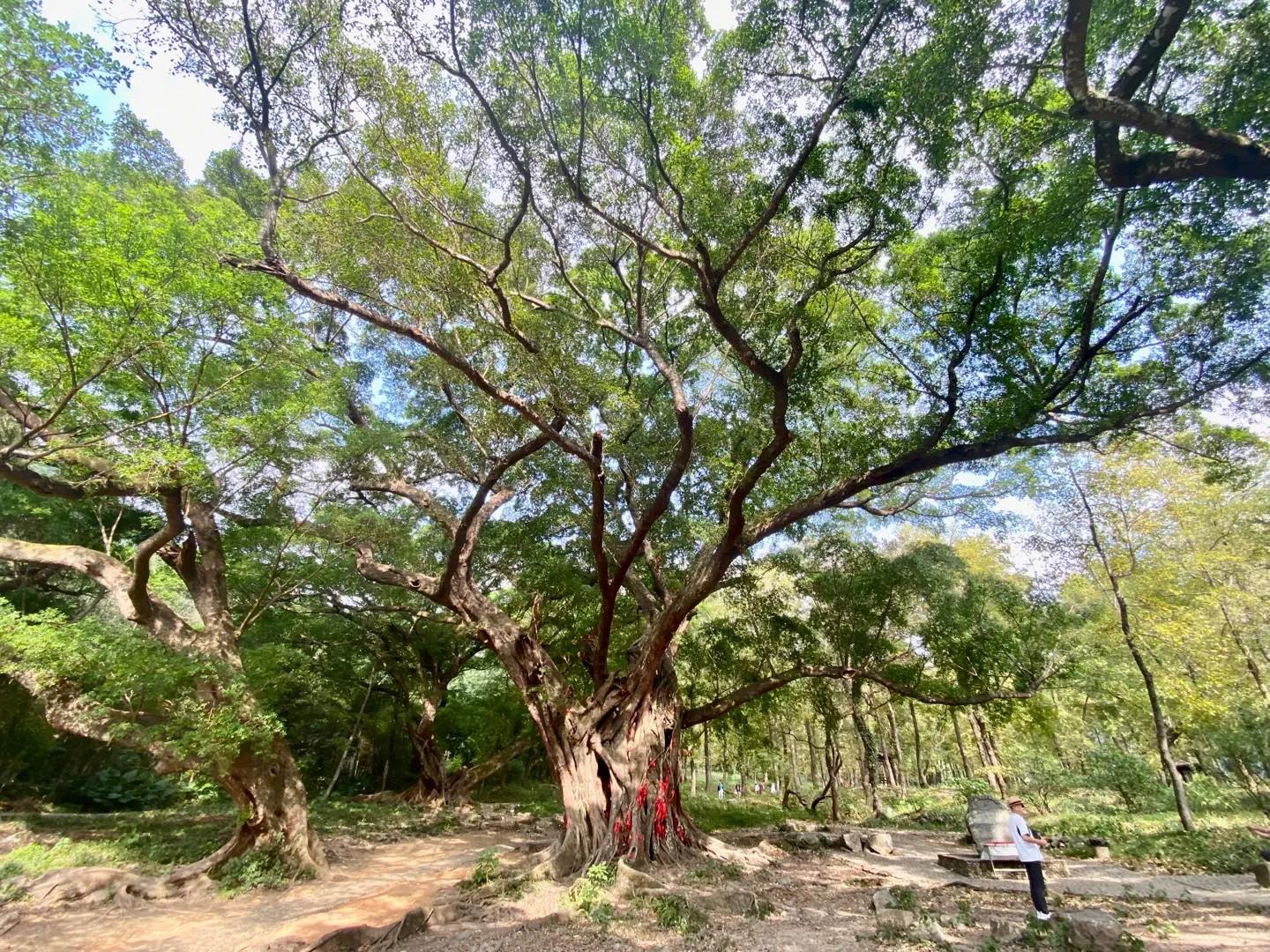 Promote strengths and avoid weaknesses, tell the behind-the-scenes ...