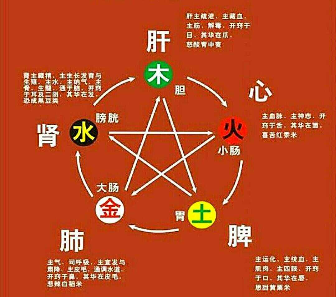 Deficiency of the spleen produces dampness Kidney deficiency produces ...