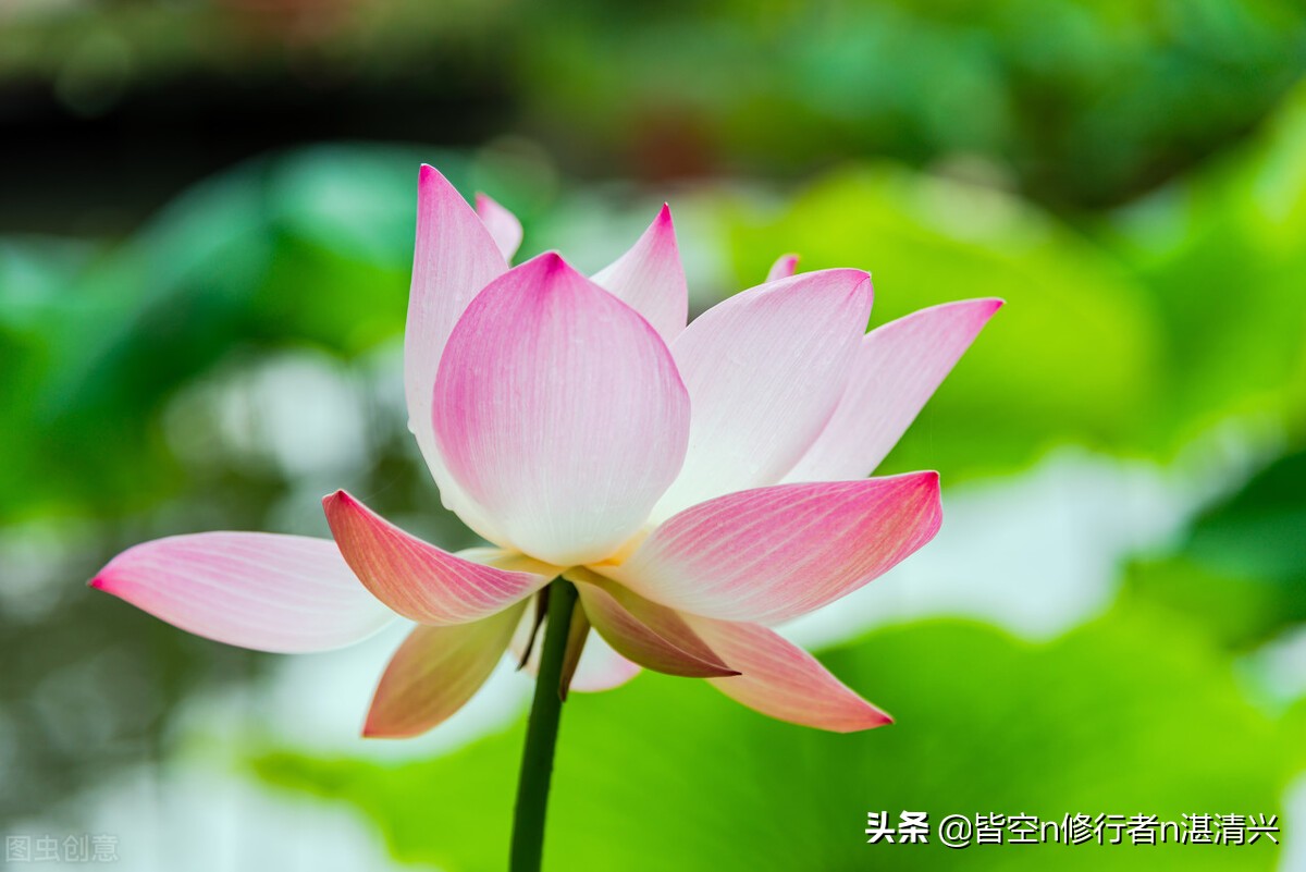 "Ming Xue" - Interpretation of the fixed number of life - iNEWS