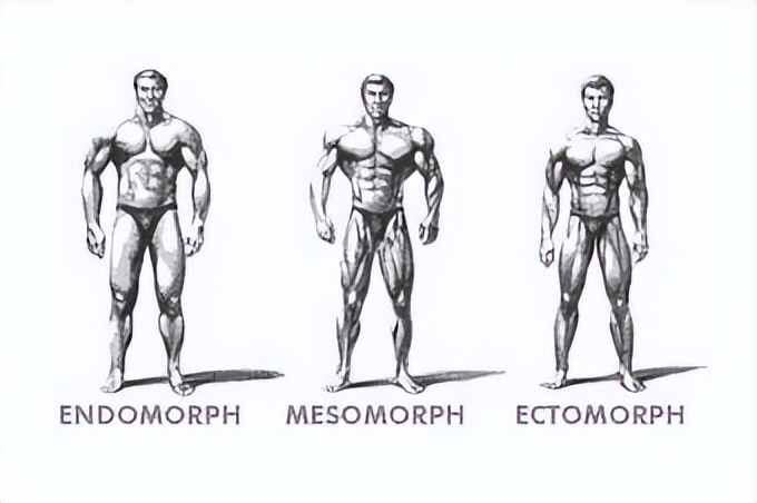 Endomorph, mesomorph or ectomorph?"Body Type Taxonomy" and Sports ...