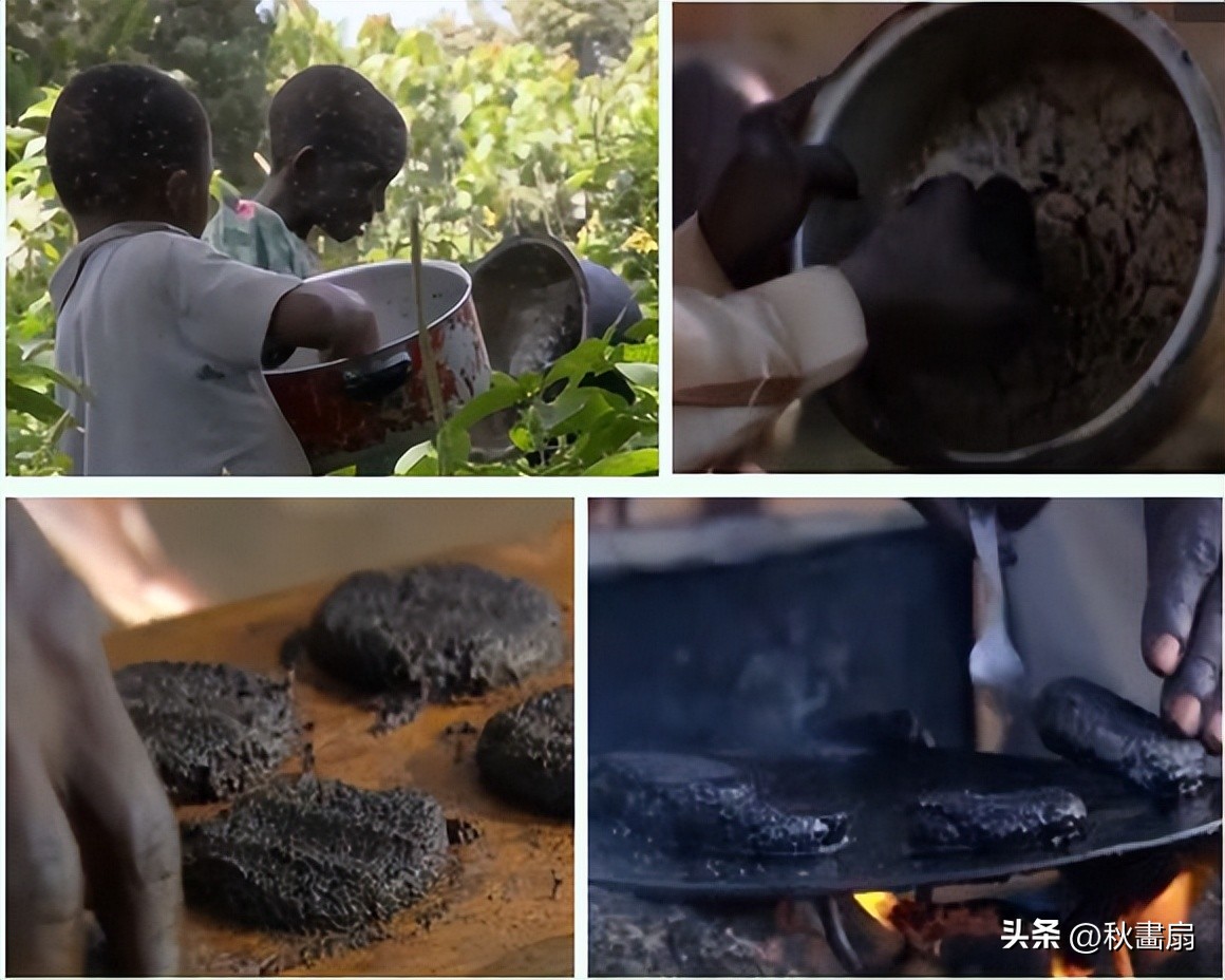 Mosquito meat is still meat no matter how small it is. Each patty ...