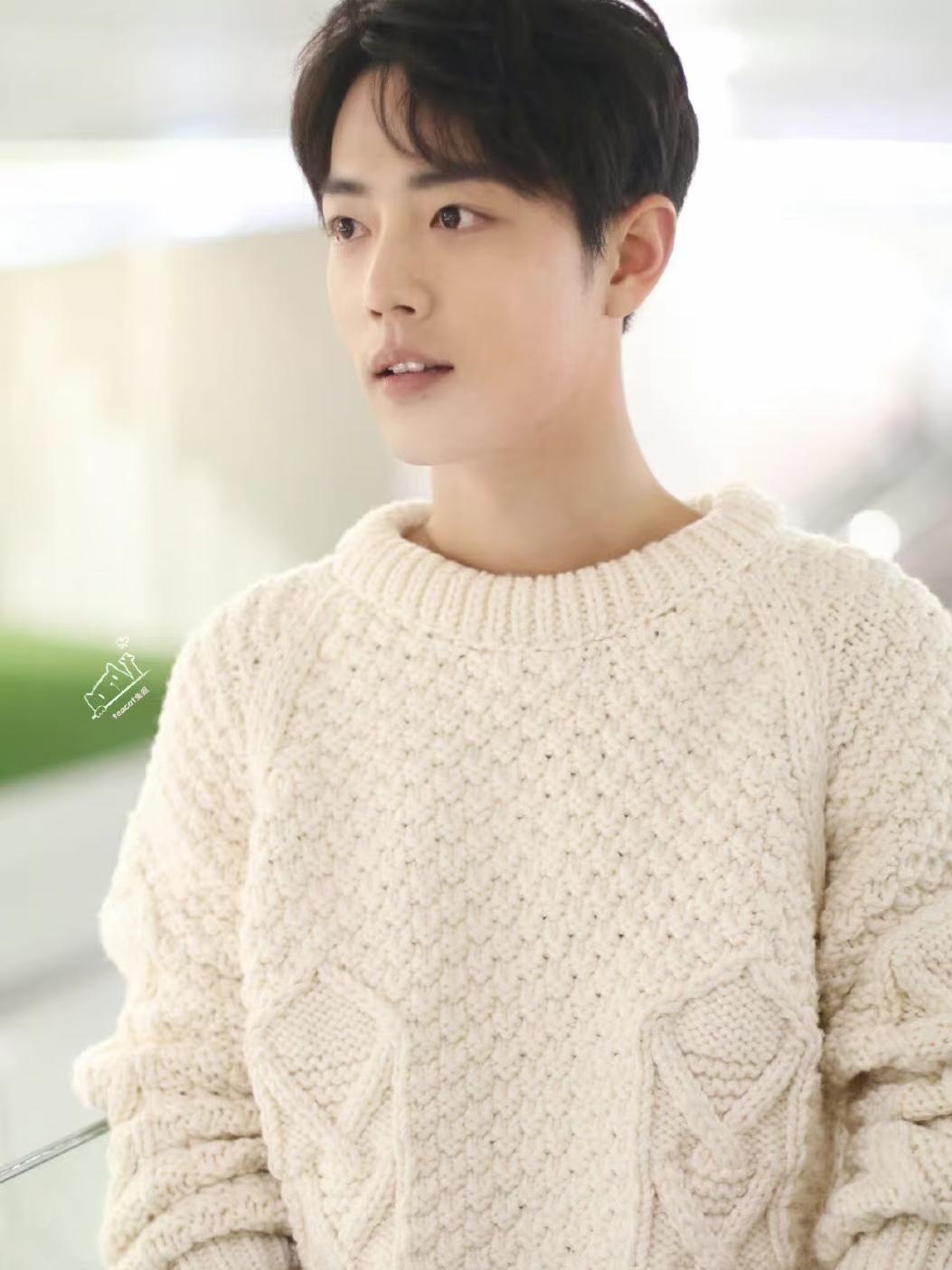 funny!"Yu Gu Yao" will be spread soon, Xiao Zhan fans: You can lie to ...