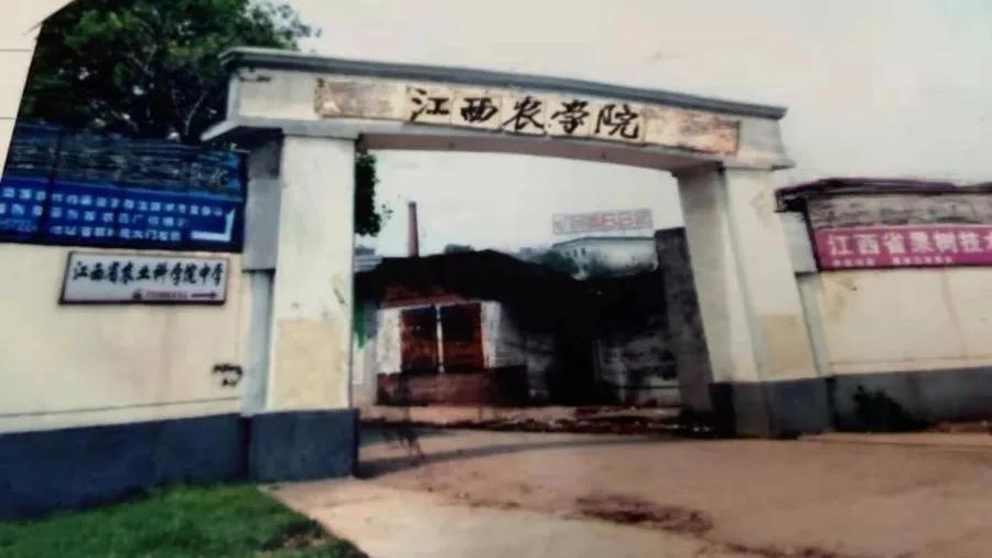 The real story of the old school gate, school badge and school emblem ...