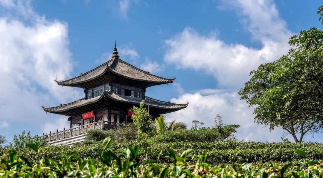 Ideal Hualai: The most delicious Pu'er drink in winter, the glorious ...