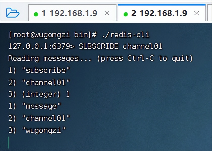 這次徹底讀透 Redis - 資訊咖