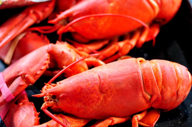 Tasting the history of lobster - iNEWS
