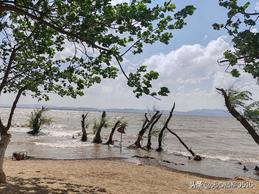 The most beautiful April day in the world, live up to the spring and ...