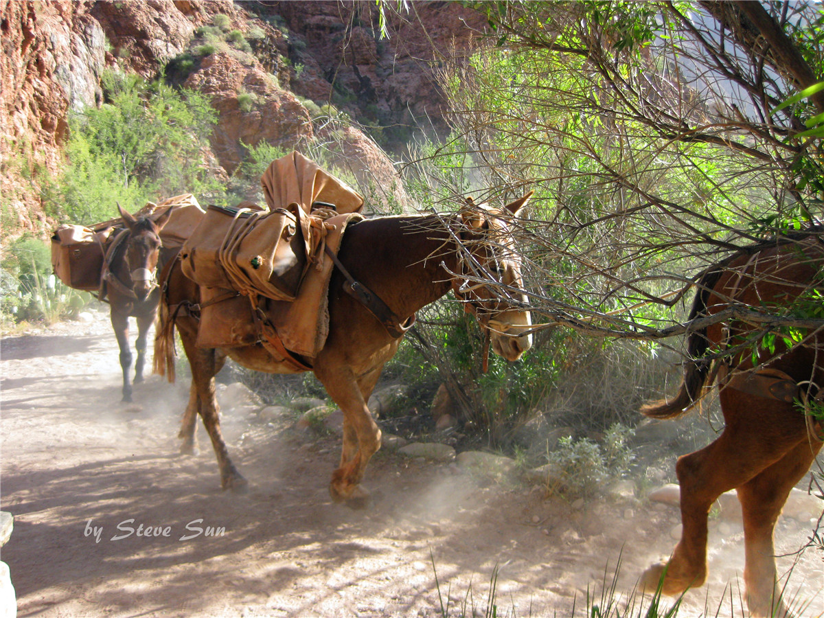 Grand Canyon R2R Crossing (2) - iMedia