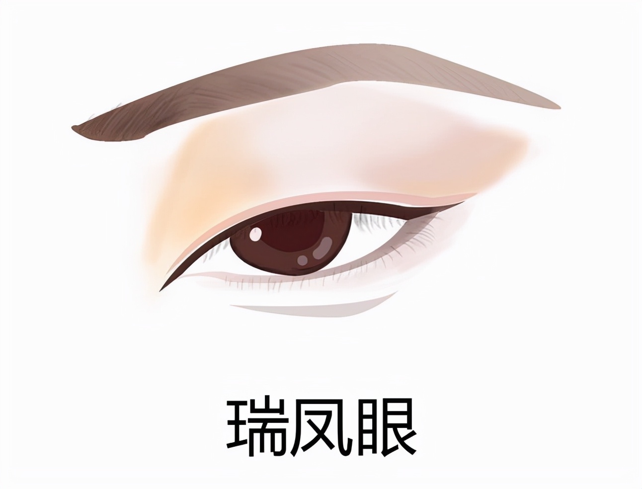 10 common eye shapes in China, which one are you? - iMedia