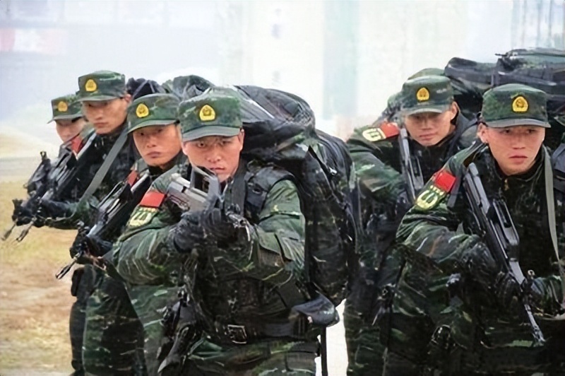 Optimizing the organization of the army and extending the retirement ...