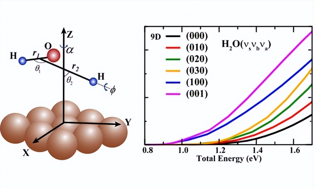 Quantum Electron Dynamics in Strong Laser Fields: Higher Harmonic ...