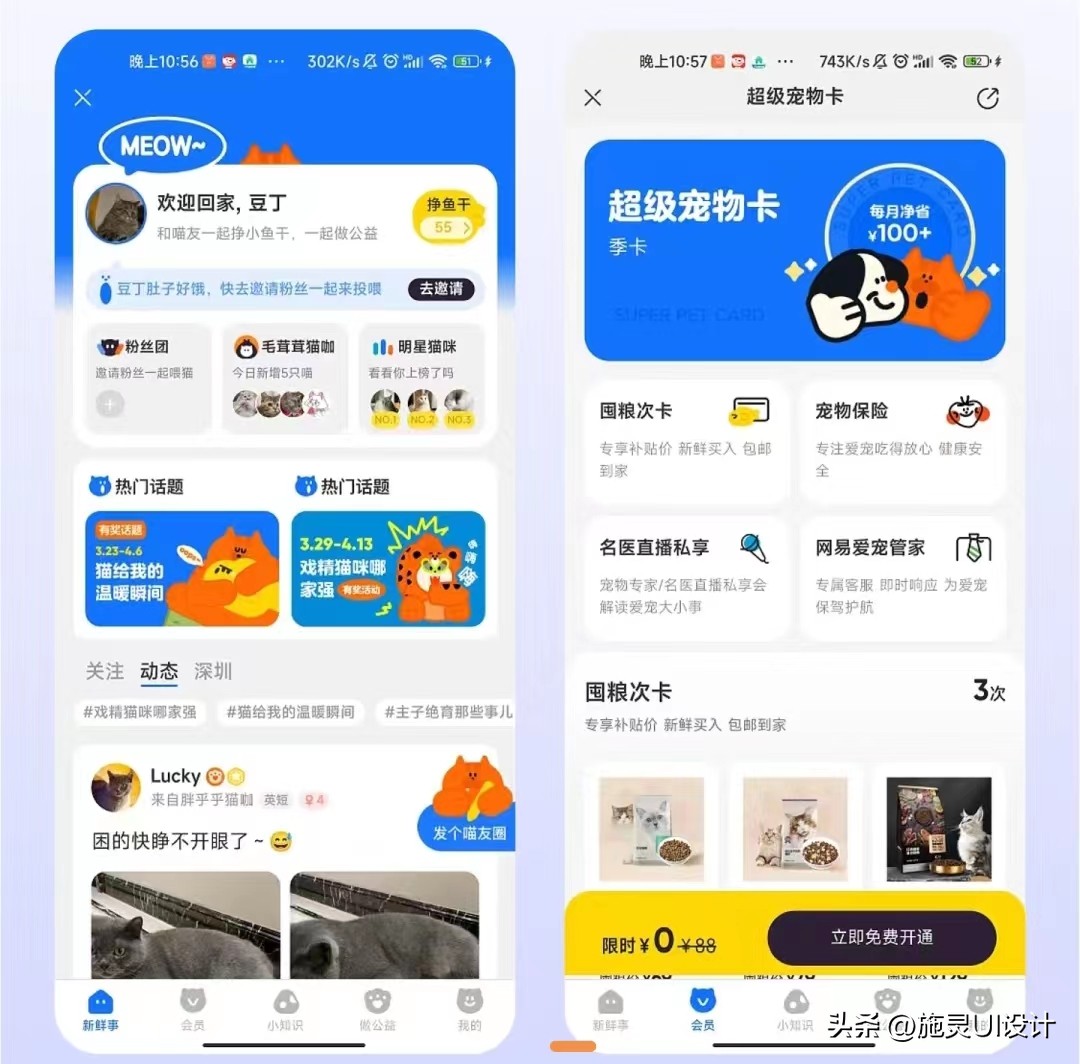 These cute pet apps make your life more interesting and fulfilling - iNEWS