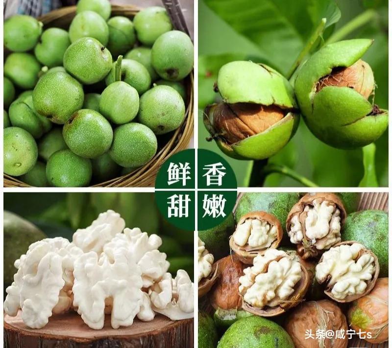 Have you eaten this year's new walnuts? - iNEWS