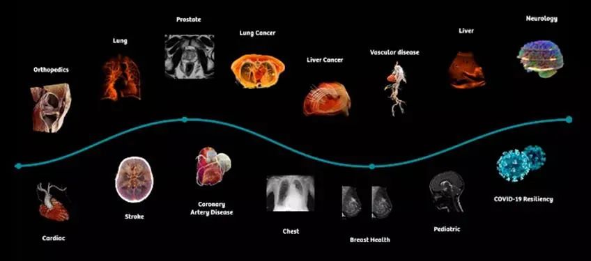 The strongest on the surface!The first image of 11.7T MRI is here - iNEWS