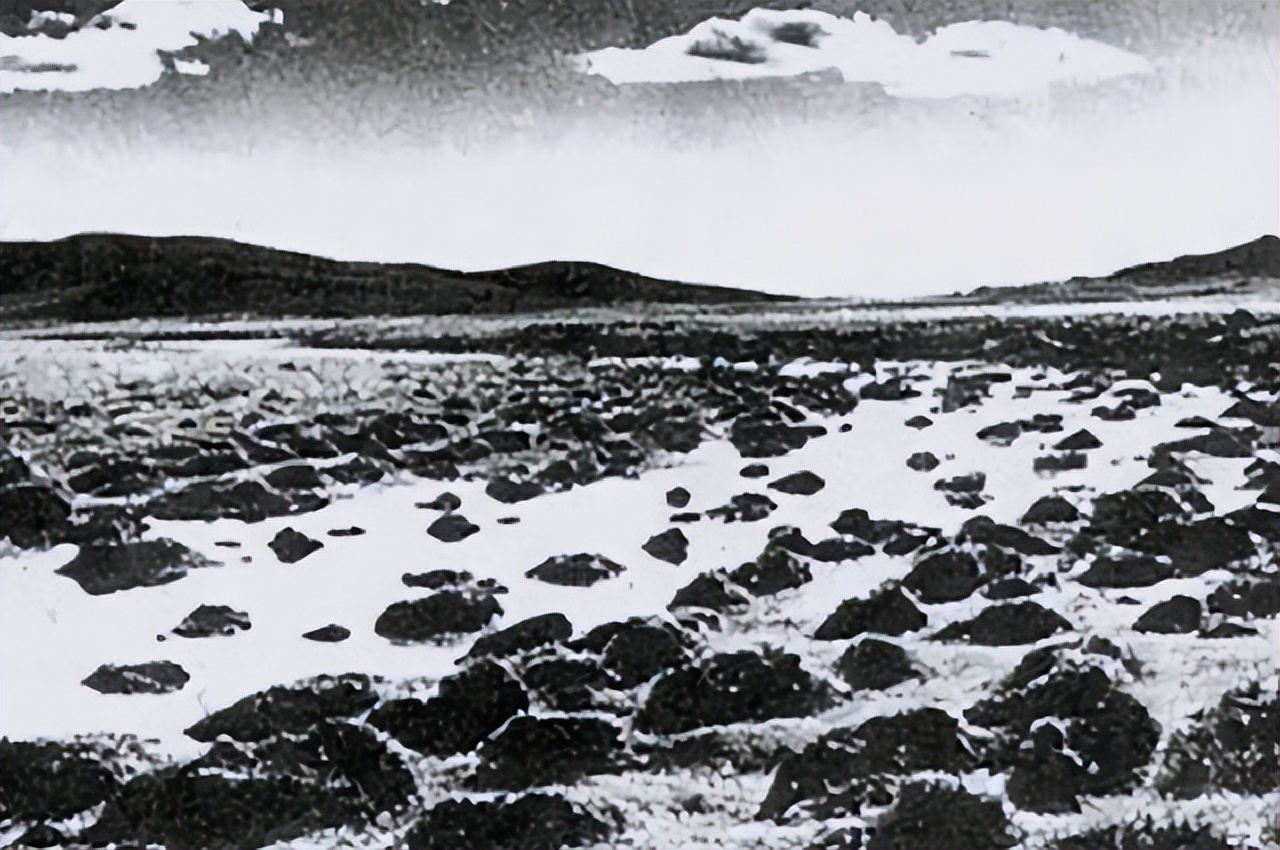 In the vast grassland, why can the Red Army survive for 7 days under ...