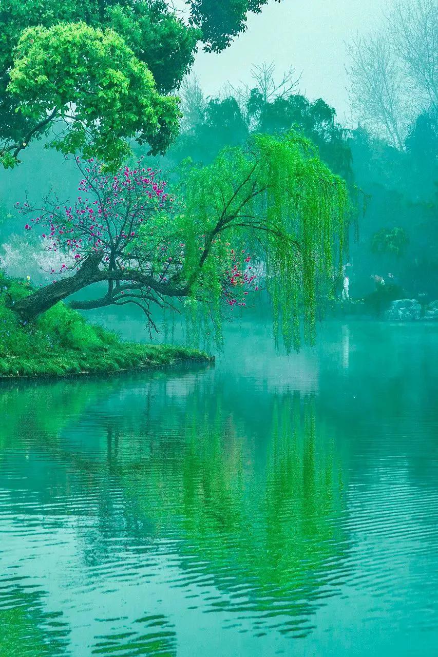 A wonderful flower in Baoying Wenyuan - iNEWS