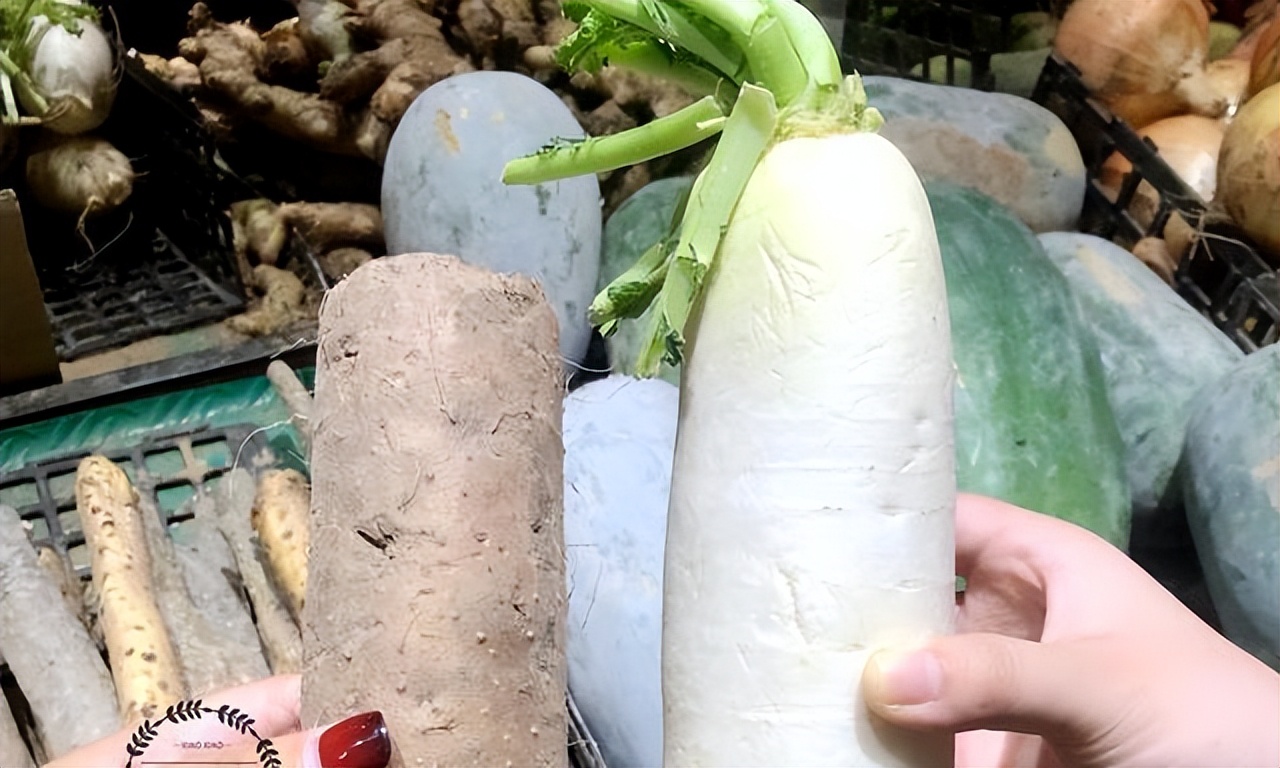 How to choose white radish? Old vegetable farmers teach you, don't buy ...