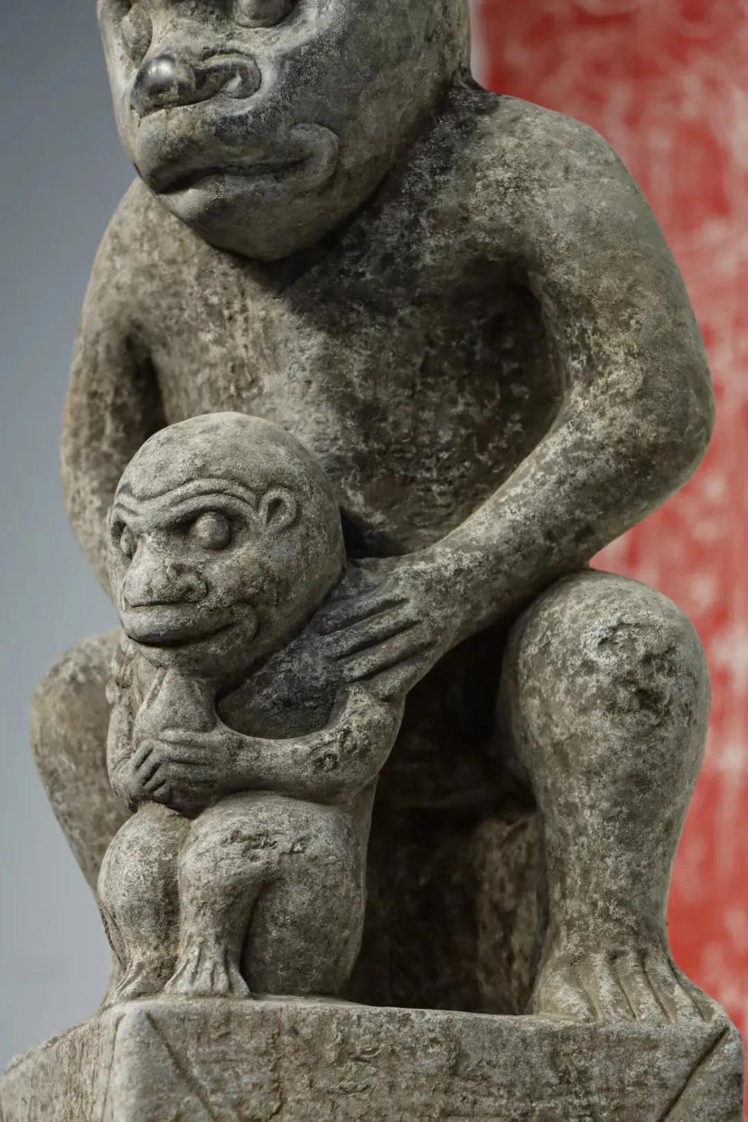 stone monkey - iNEWS