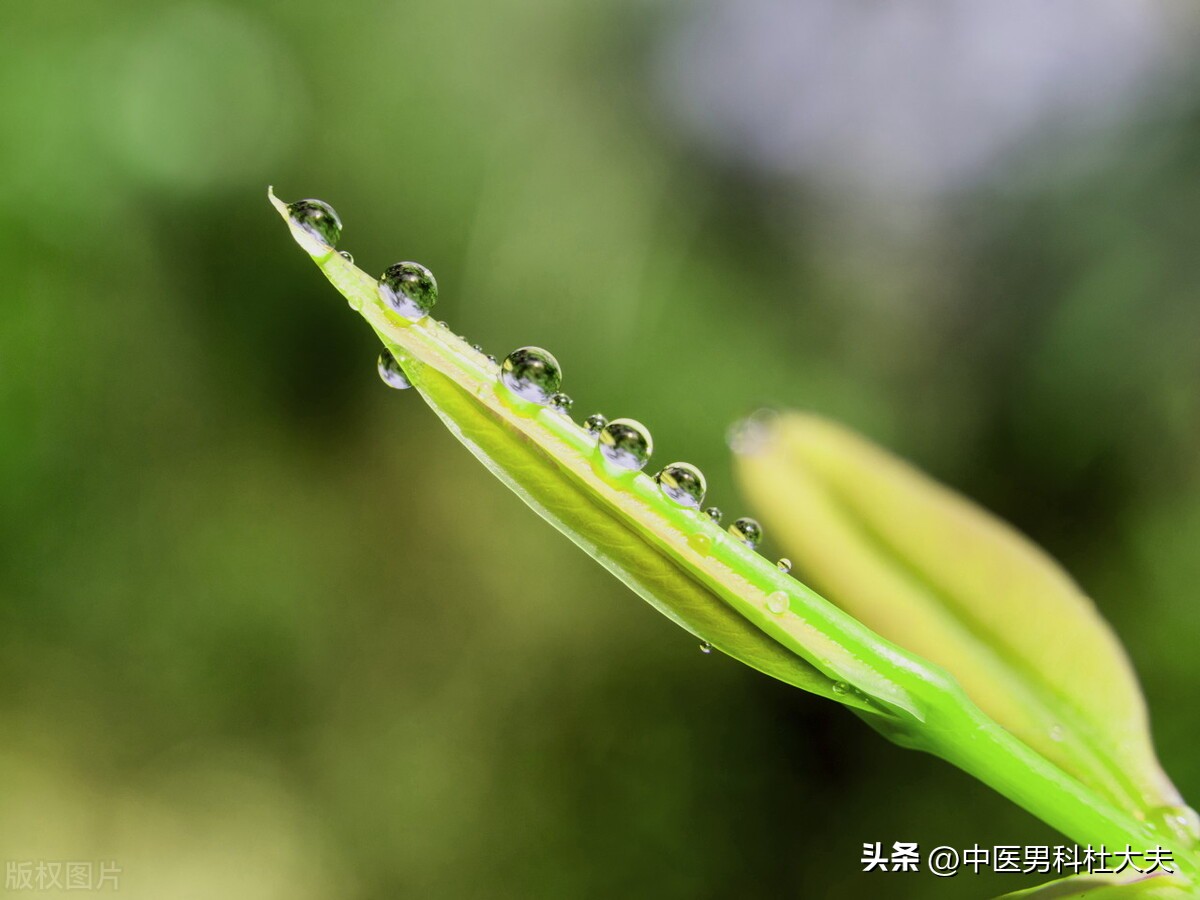 Yang things are not active, spleen deficiency is the foundation, kidney ...