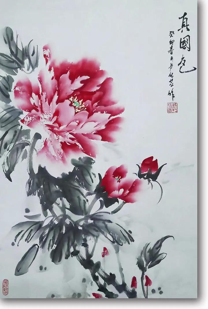 Only the true national color of peony moves the capital when it blooms ...