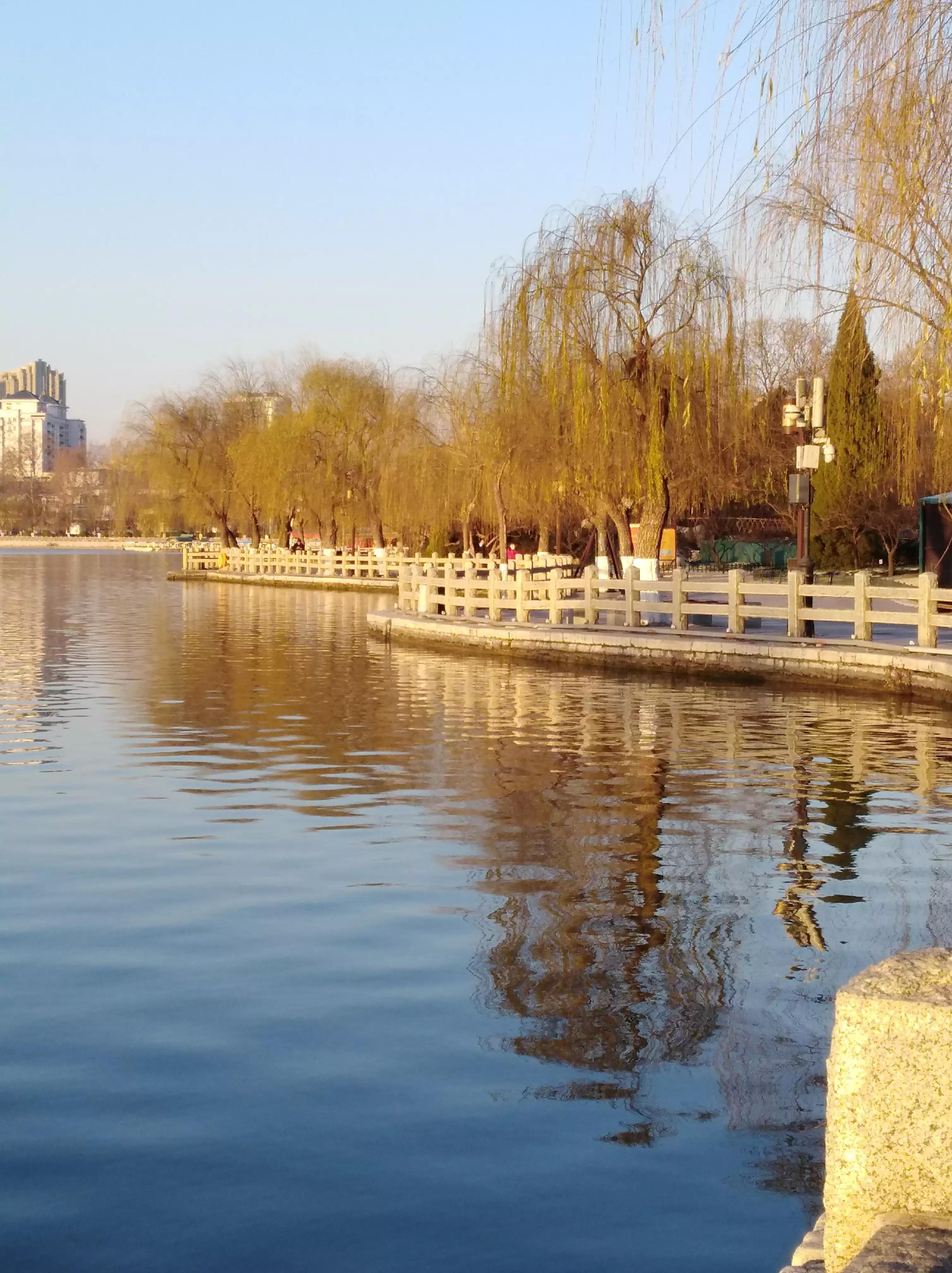 Walk around Daming Lake in the morning - iNEWS
