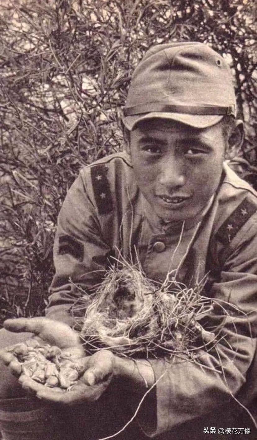 Memoirs of Japanese Invaders in China (10) A Field Hospital Without ...