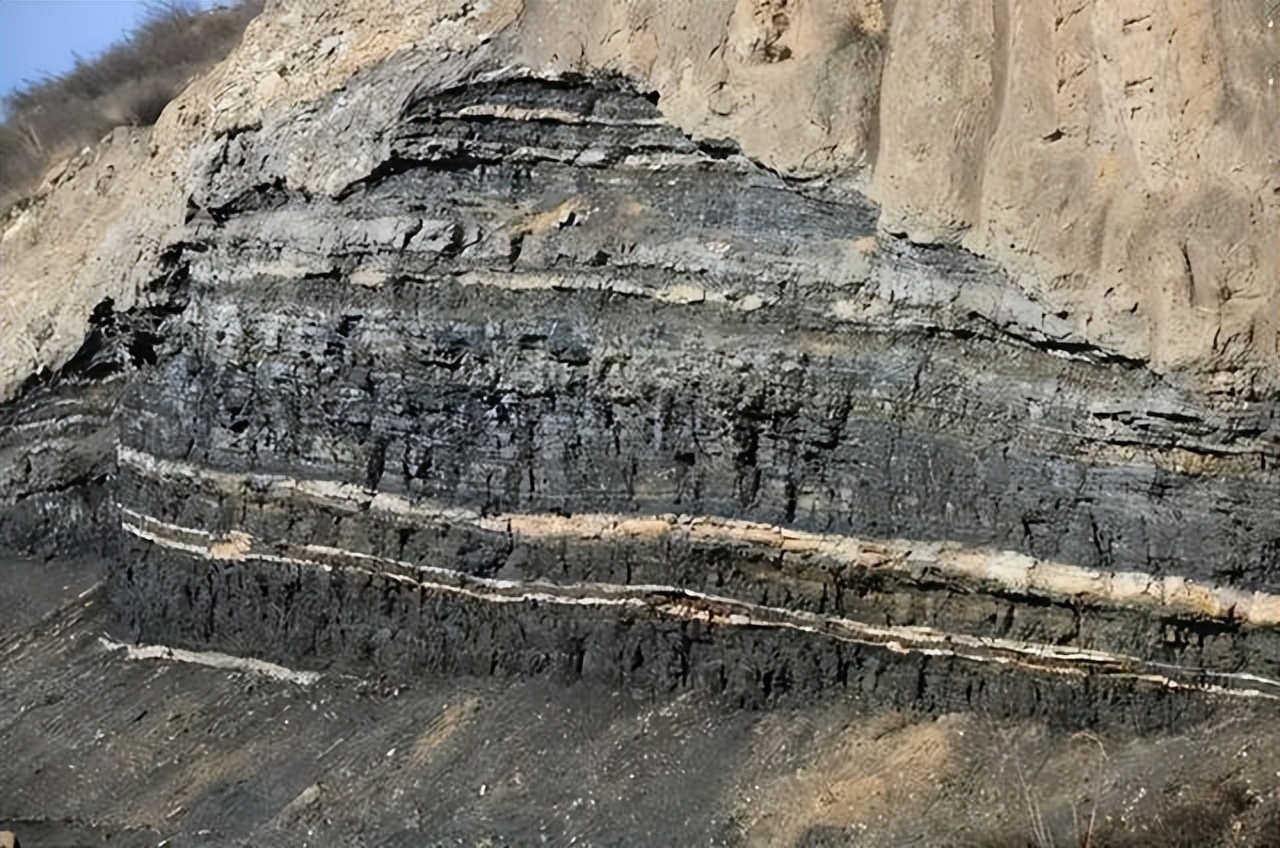 How is the 100-meter-thick coal formed in nature? There are many ...