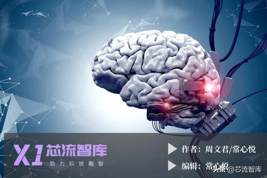 Rebuilding the Pantheon: How does a brain-like chip open up Musk's road ...