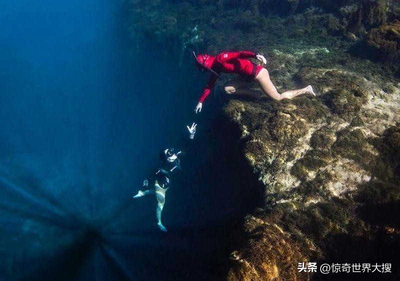 25 frightening photos to test if you have a deep-sea phobia - iMedia