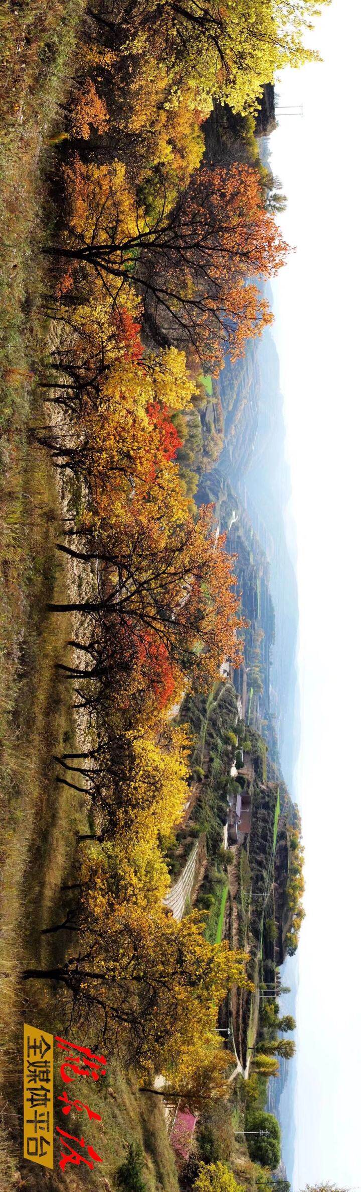 "Meitu Qingyang" Golden Autumn Love "Drunken" Beautiful Autumn Scenery ...