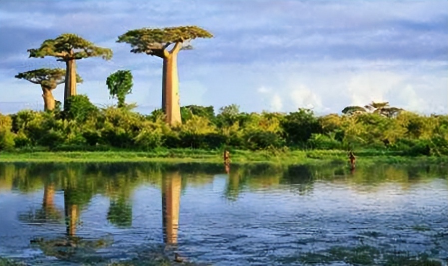The Wonders of Madagascar: Natural Treasures and Mysteries of ...