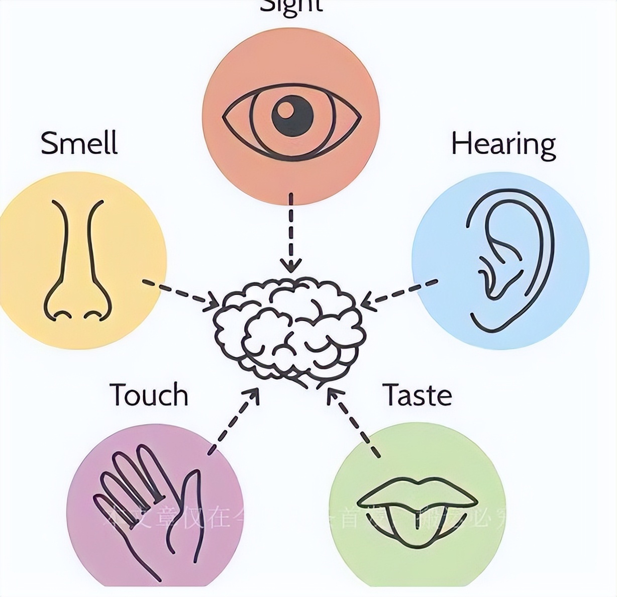 Xiaomi builds "humans" faster than Tesla and launches its first full ...