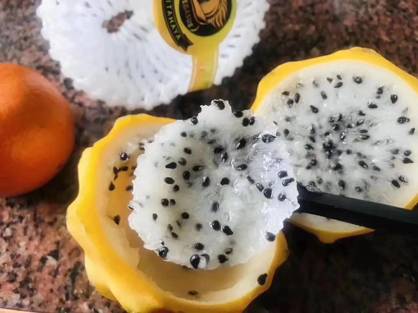 Have you ever eaten a Rolls Royce among fruits? - iNEWS