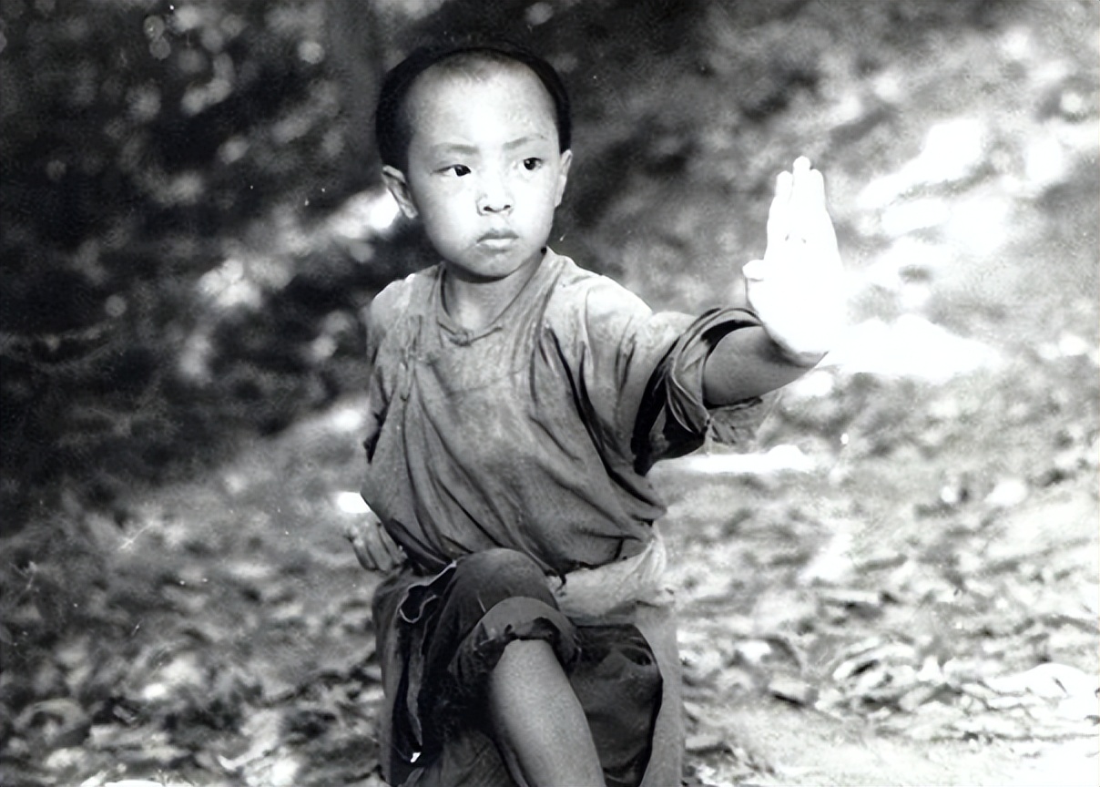 Fu Dalong and Rao Minli: From "Fairy Love" to "Everyone is Well", what ...