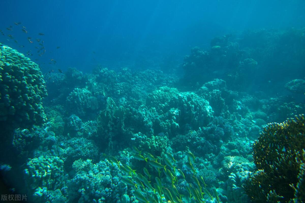 Ranking of the world's top ten ocean areas - iNEWS