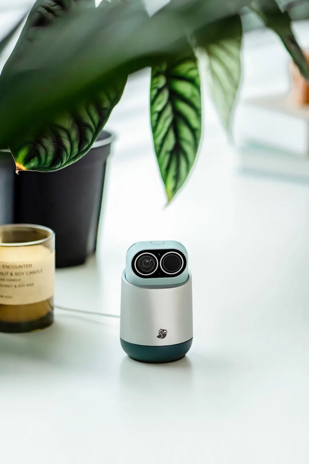 The birth of a magic camera - iNEWS