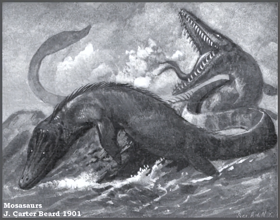 A short biography of mosasaur's shape restoration - iNEWS