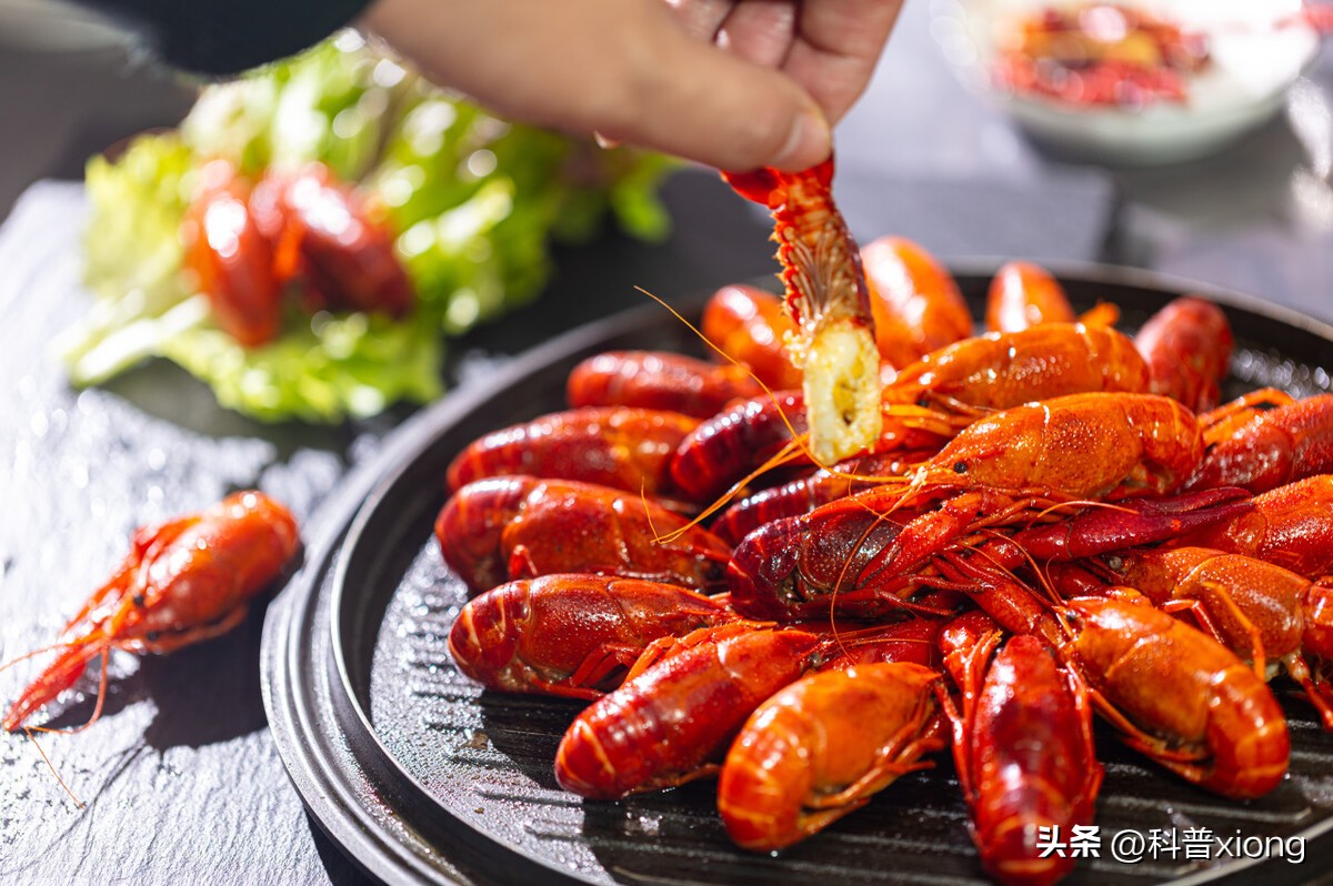 What are the benefits and precautions of eating crayfish? do you know ...