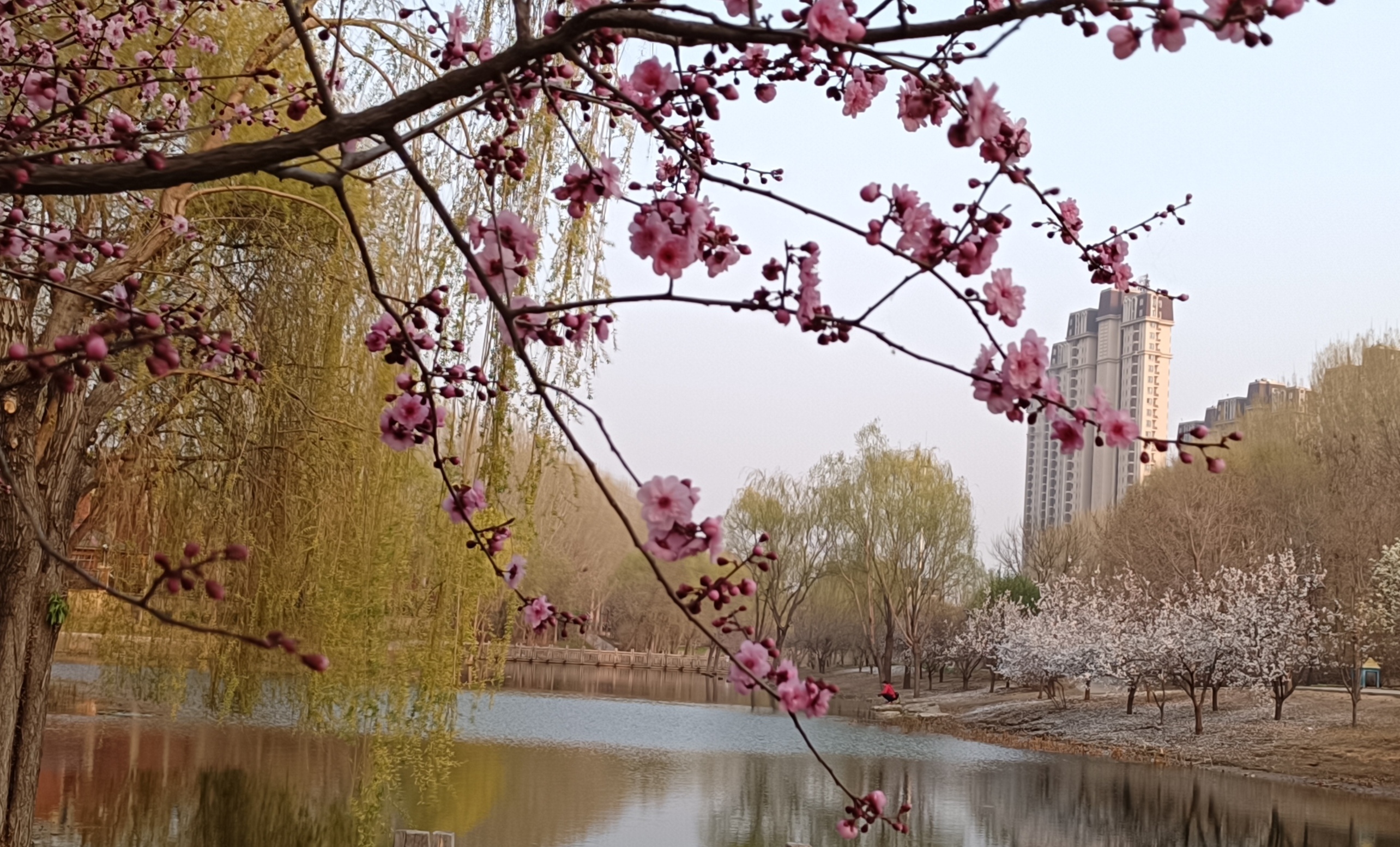 New Beijing Peninsula scenery and tourists - iMedia